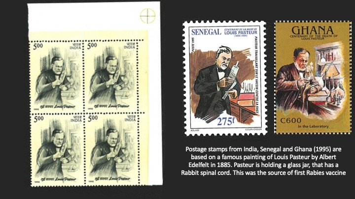 Rabies: Pulling out of jaws of a certain furious death - Health and ...